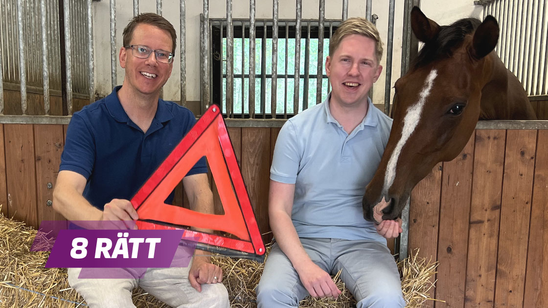 Alla tipsprogram | ATG