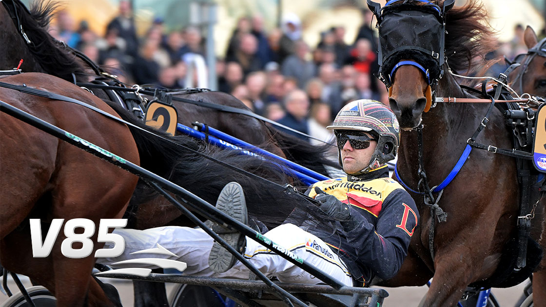 Stallsnack V85® Skive | ATG